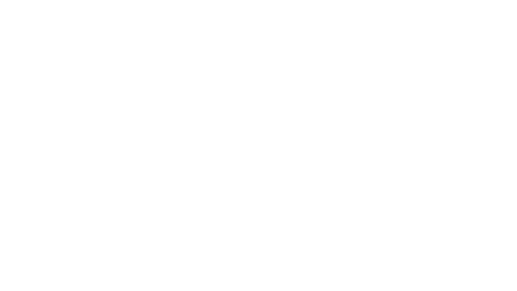 Prof. Dr. Alessandro Marques - InSTA